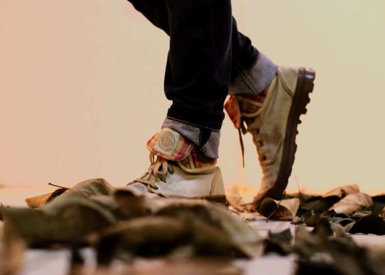 Low Angle Close-Up pictures | Curated Photography on EyeEm